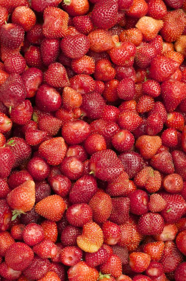 Inscription pour les fraises à confitures !! | Ferme Fruitière de la ...