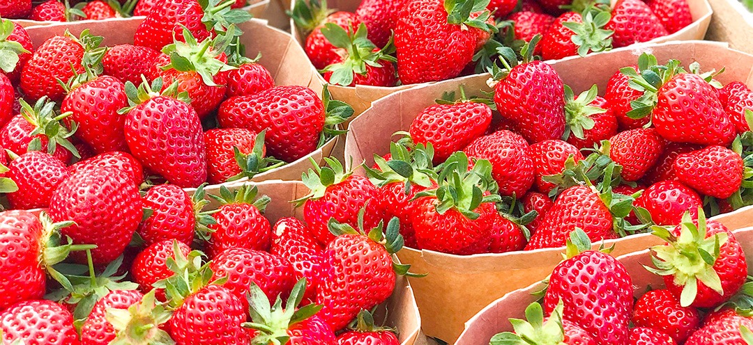 Une histoire de fruits qui a du goût | Ferme Fruitière de la Hautière